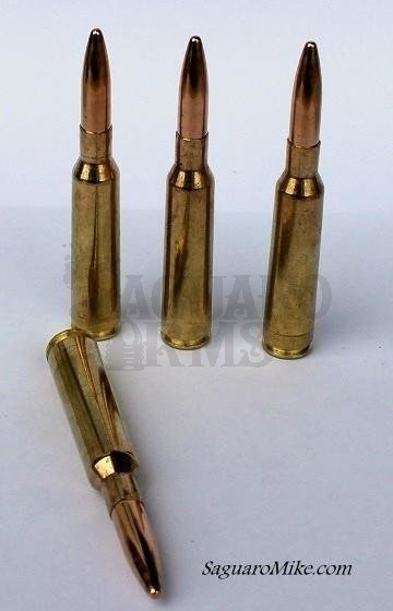 Ammunition - 6,5x55 SE: Saguaro-Arms.com